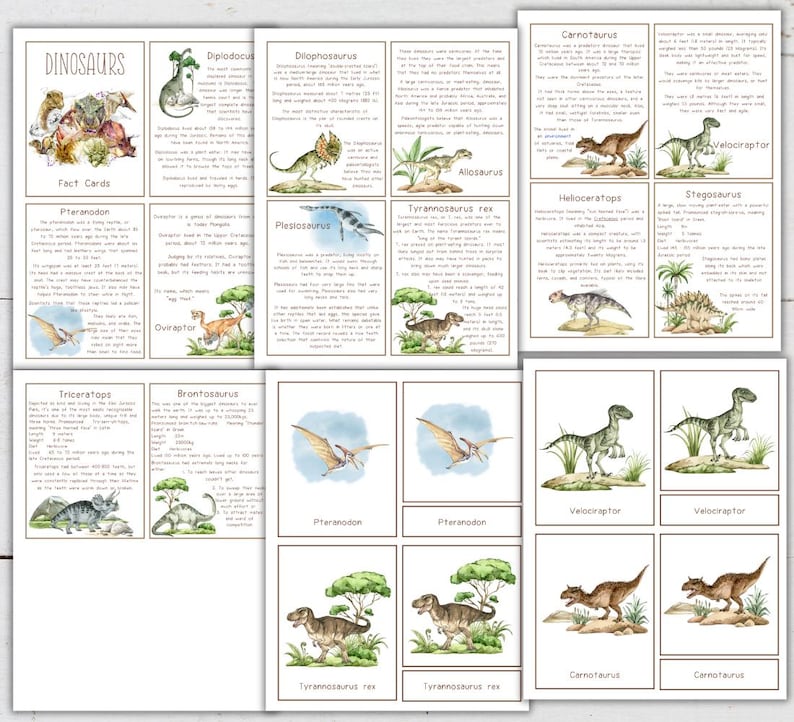 Dinosaur Mini Poster & Fact Cards: Montessori Homeschool (digital ...