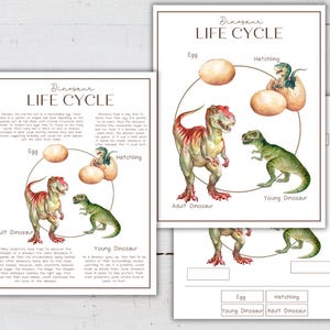 DINOSAUR Life Cycle, Nature Study, Homeschool Printable, Instant ...