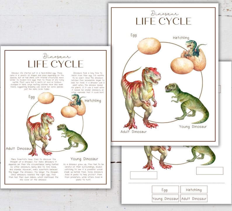 DINOSAUR Life Cycle, Nature Study, Homeschool Printable, Instant ...