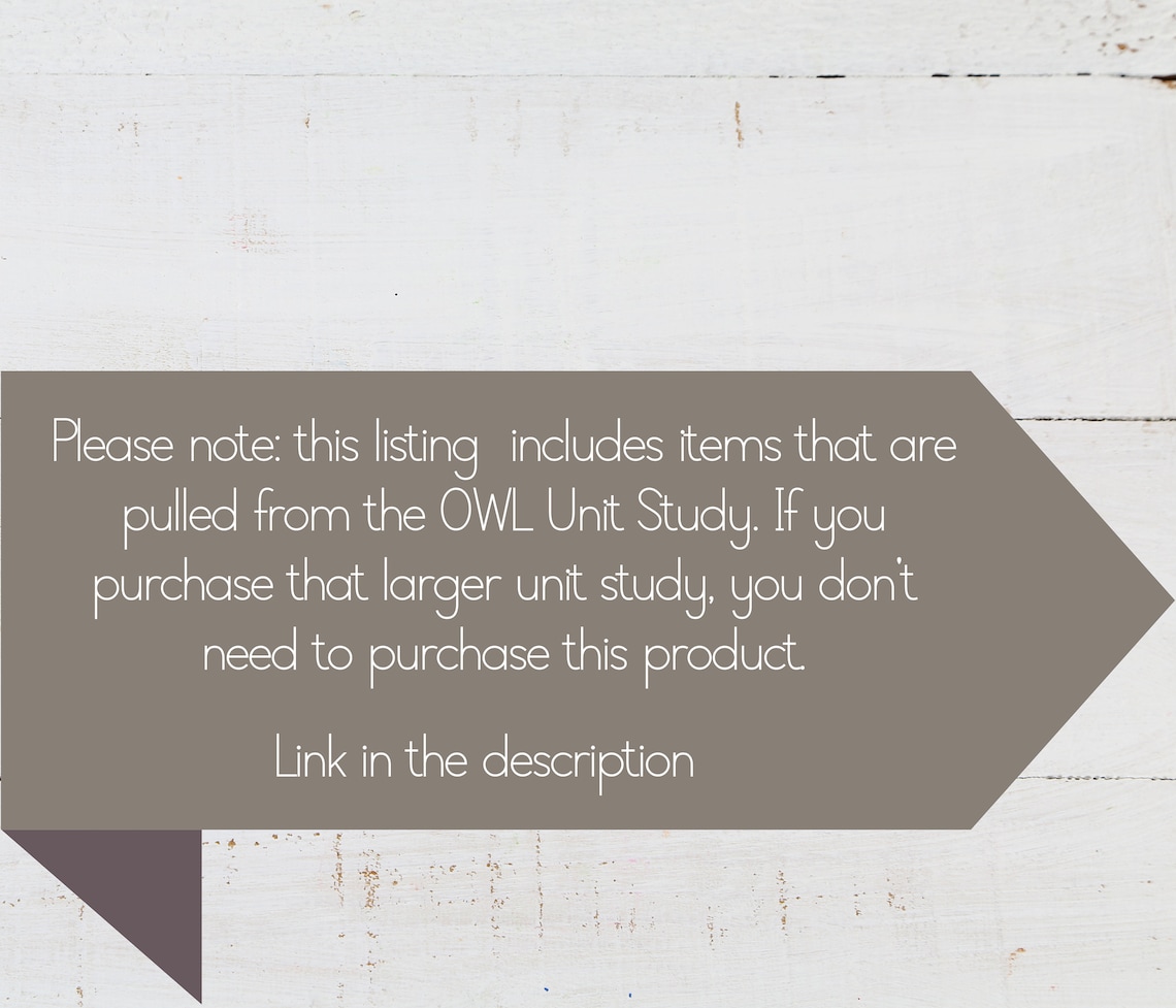 OWL Anatomy, Poster and Labeling Activity, Homeschool, Instant DOWNLOAD ...