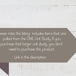 OWL Anatomy, Poster and Labeling Activity, Homeschool, Instant DOWNLOAD ...