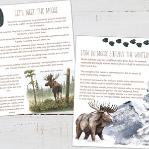 MOOSE Unit Study, Life Cycle, Anatomy, Nature Study, Science ...
