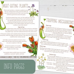 BEHAVIORS in NATURE BUNDLE (symbiosis, Animal Defenses, Animals at ...