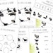 Skunk Unit Study: Life Cycle, Anatomy, Homeschool Printable (instant ...