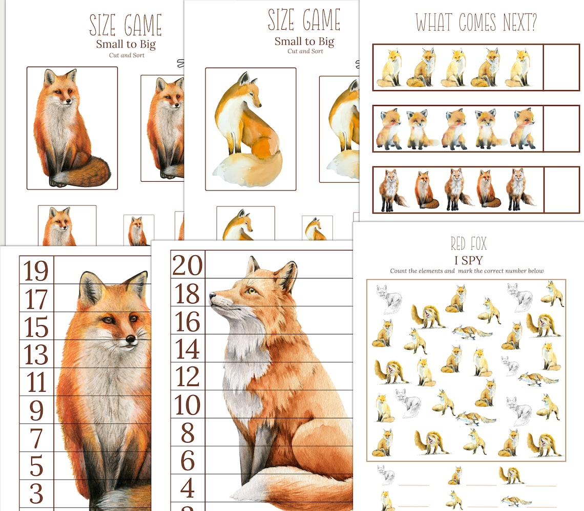 RED FOX Unit Study Life Cycle Anatomy Nature Study - Etsy