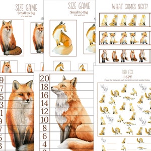 RED FOX Unit Study Life Cycle Anatomy Nature Study - Etsy