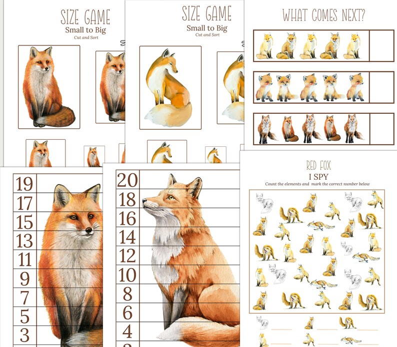 RED FOX Unit Study Life Cycle Anatomy Nature Study - Etsy