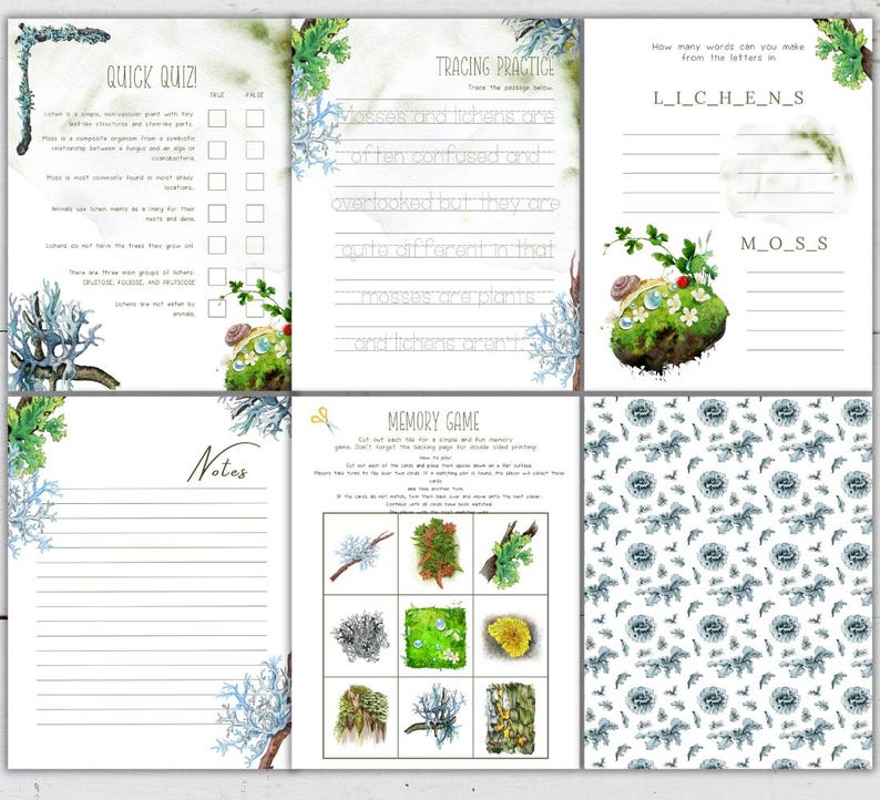 Mosses and Lichens Unit Study: Homeschool Printable (digital Download ...
