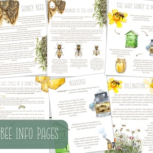 Honey Bees Nature Study Unit: Homeschool Science (INSTANT DOWNLOAD) - Etsy