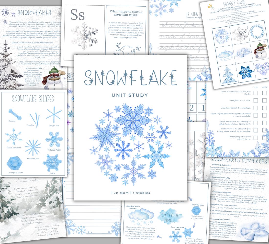 Weather Unit Study Bundle: Rainbow, Water Cycle, Snowflakes (homeschool ...