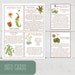 CARNIVOROUS PLANTS Unit Study, Anatomy, Nature Study, Science ...