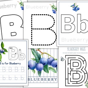 BLUEBERRY Unit Study, Life Cycle, Anatomy, Nature Study, Science ...