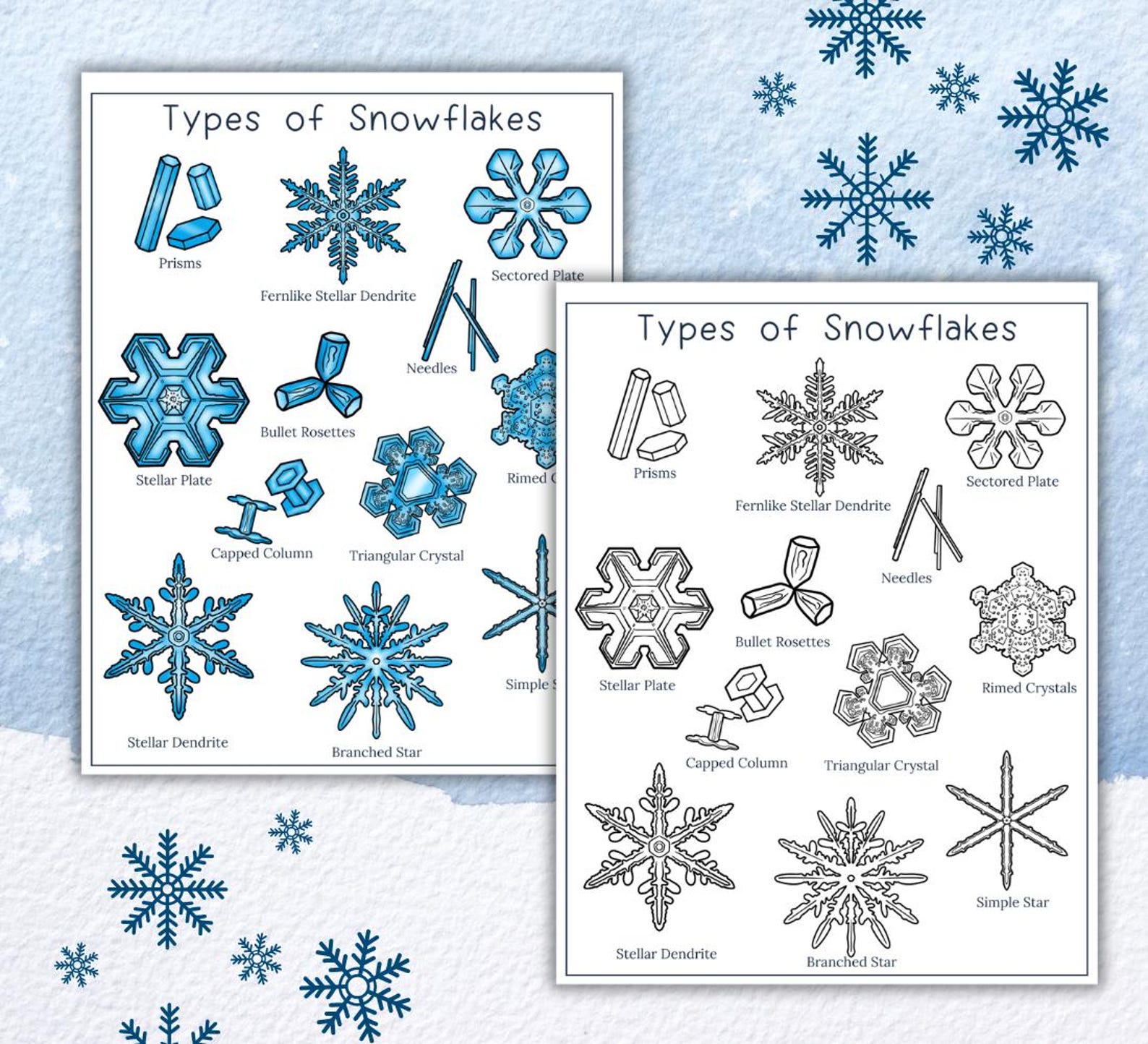 SNOWFLAKE Types and Cycle, Posters and 3-part Cards, Science ...