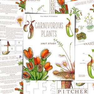 BEHAVIORS in NATURE BUNDLE (symbiosis, Animal Defenses, Animals at ...