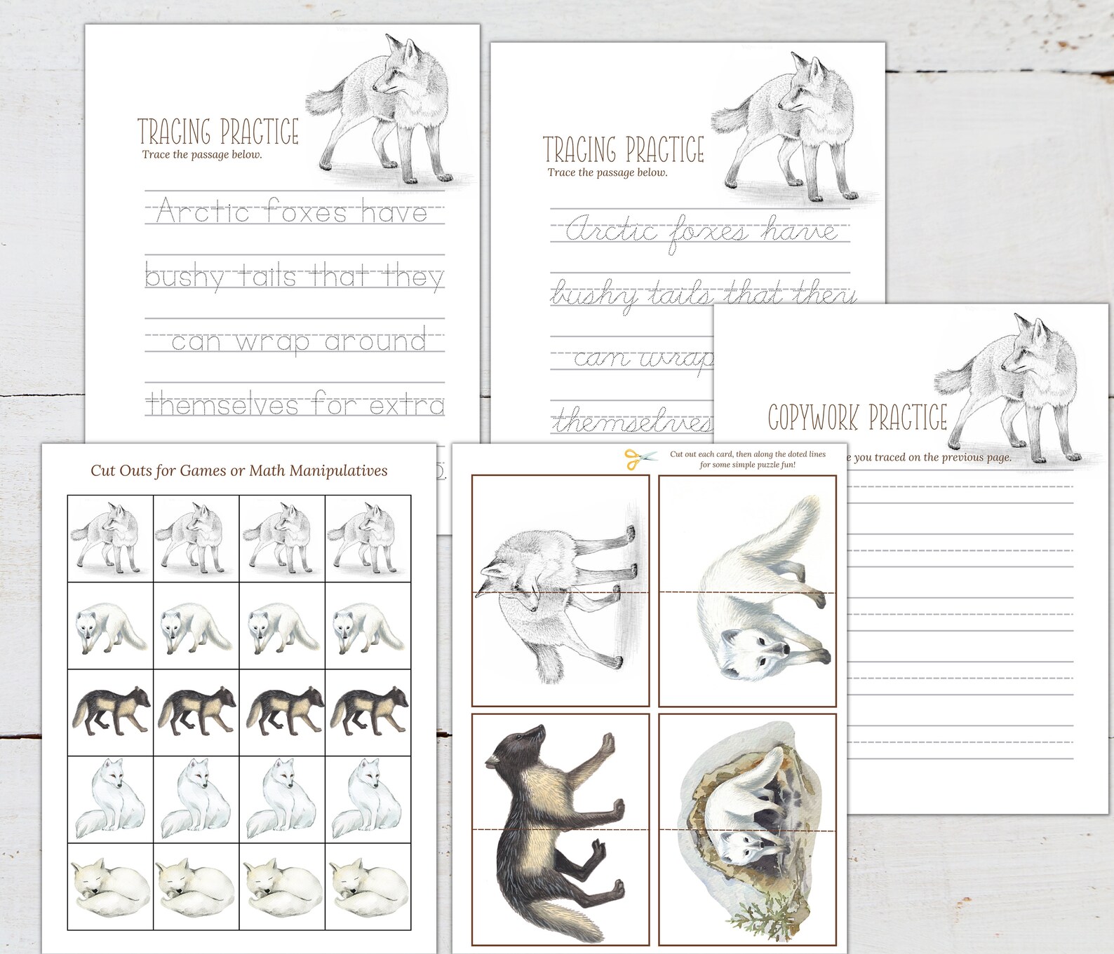 Arctic Fox Unit Study: Homeschool Science Printable (instant Download ...