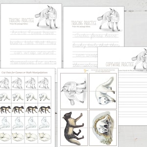 ARCTIC FOX Unit Study, Life Cycle, Anatomy, Nature Study, Science ...