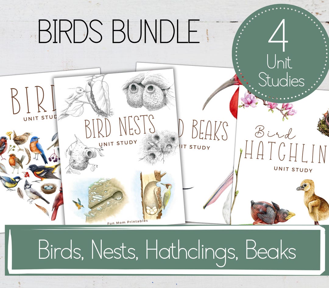 BIRDS UNITS BUNDLE, Bird Activities, Nests, Hatchlings, Beaks ...