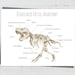 DINOSAUR Anatomy, Poster and Labeling Activity, Homeschool, Instant ...
