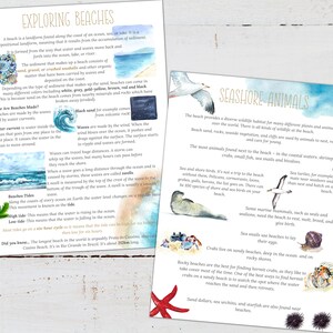 BEACH Unit Study, Anatomy, Nature Study, Science, Handwriting ...