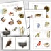 BIRD NESTS Unit Study, Nature Study, Science, Handwriting, Homeschool ...