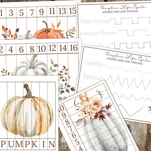 PUMPKIN Unit Study Life Cycle Anatomy Nature Study - Etsy