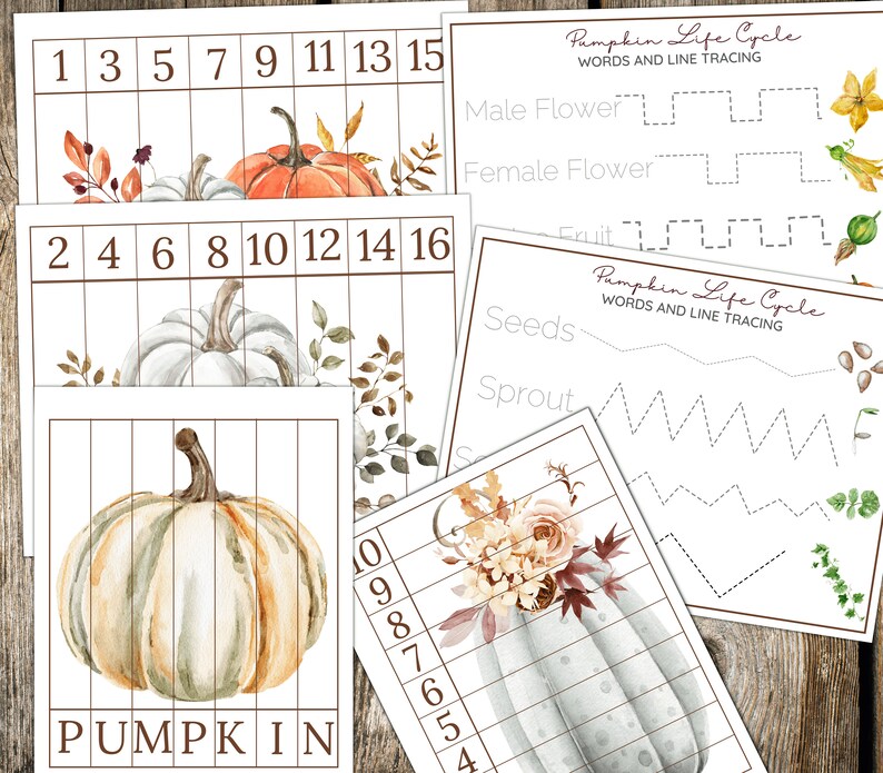 PUMPKIN Unit Study Life Cycle Anatomy Nature Study - Etsy