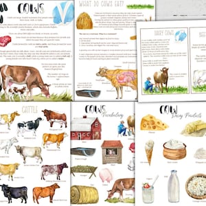 COWS Unit Study, Cattle, Life Cycle, Anatomy, Farm Animals, Nature ...