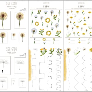 DANDELION Unit Study, Life Cycle, Anatomy, Nature Study, Science ...