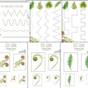 FERNS Unit Study, Life Cycle, Anatomy, Nature Study, Science ...