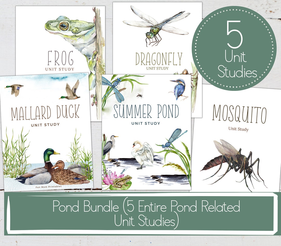 Pond Life Unit Study Bundle: Homeschool Printables (instant Download ...