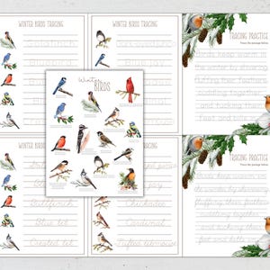 WINTER BIRDS Unit Study, Nature Study, Science, Handwriting, Homeschool ...