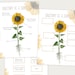 SUNFLOWER Unit Study Life Cycle Anatomy Nature Study - Etsy