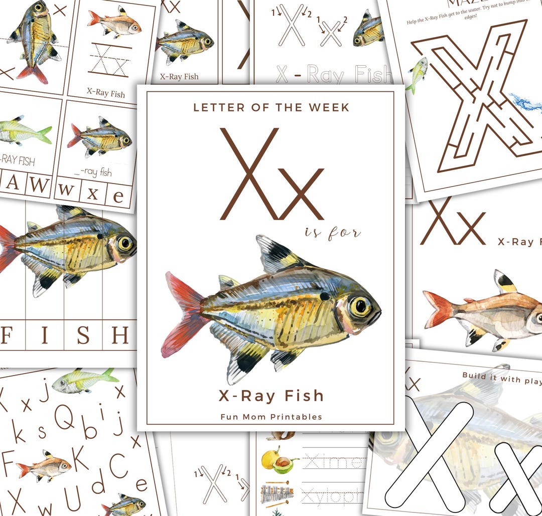 LETTER of the WEEK, X is for X-ray Fish, Letter X Activities, Alphabet ...