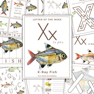 LETTER of the WEEK, X is for X-ray Fish, Letter X Activities, Alphabet ...