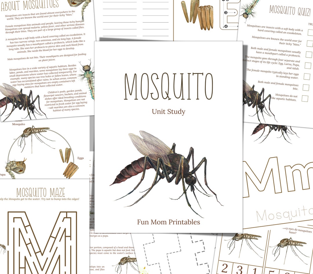 Mosquito Unit Study: Life Cycle, Anatomy, Homeschool Printable (INSTANT ...