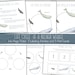 LARGE WHITE BUTTERFLY Life Cycle, Nature Study, Homeschool Printable ...