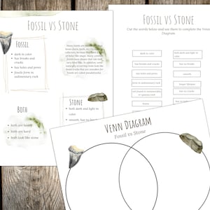 FOSSILS Unit Study, Anatomy, Nature Study, Science, Handwriting ...