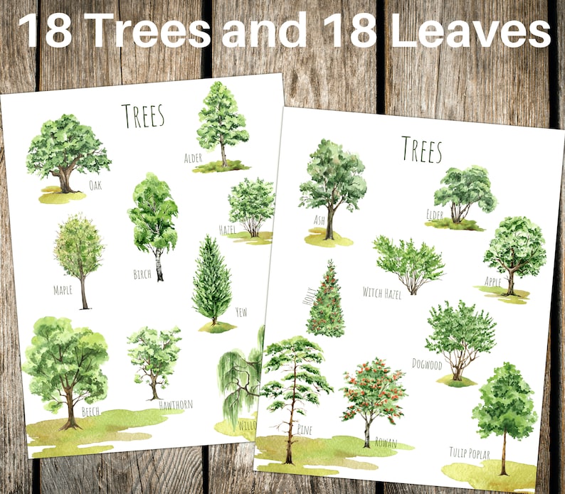 GREEN TREES and LEAVES Mini Posters Cards Puzzles Nature - Etsy