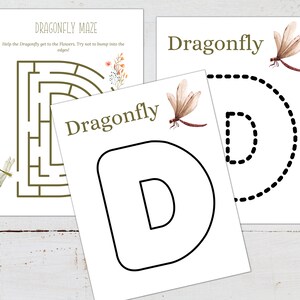 DRAGONFLY Unit Study, Life Cycle, Anatomy, Nature Study, Science ...