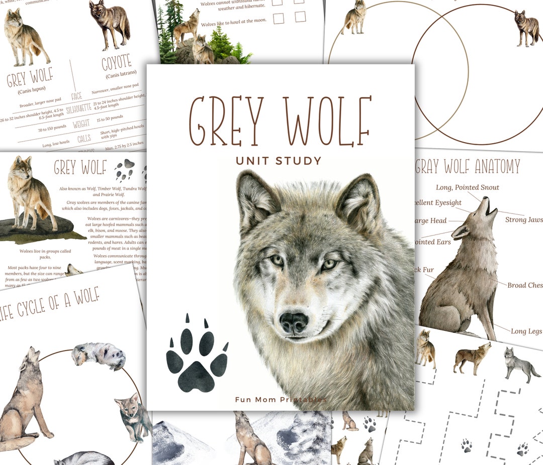 GREY WOLF Unit Study, Life Cycle, Anatomy, Nature Study, Science ...