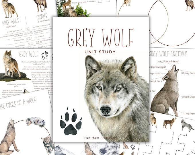Grey Wolf Life Cycle Science Activity | Foldable Craft | Wolf Unit ...
