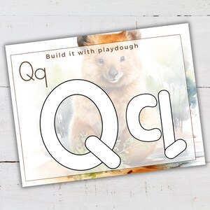 LETTER of the WEEK, Q is for Quokka, Letter Q Activities, Alphabet ...