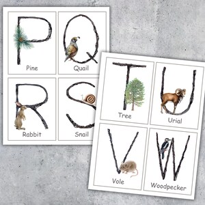 Forest ABC Flashcards, Instant Download - Etsy
