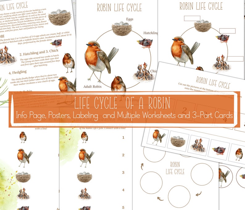 European Robin Unit Study: Homeschool Science Printable (instant ...