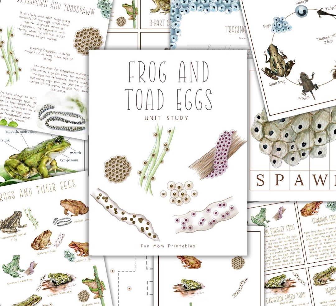 FROG and TOAD EGGS Unit Study, Life Cycle, Anatomy, Nature Study ...