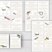 LIZARDS Mini Poster, Fact Cards and 3 Part Cards, Nature, Digital DIY ...