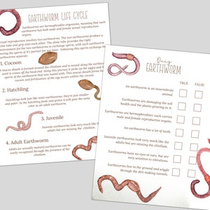 EARTHWORM Study Unit, Life Cycle, Anatomy, Nature Study, Science ...