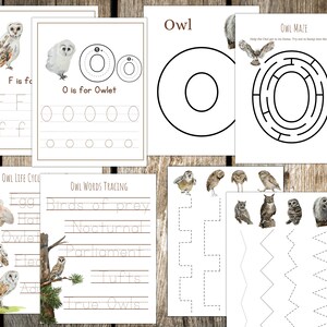 OWLS Unit Study, Life Cycle, Anatomy, Nature Study, Science ...