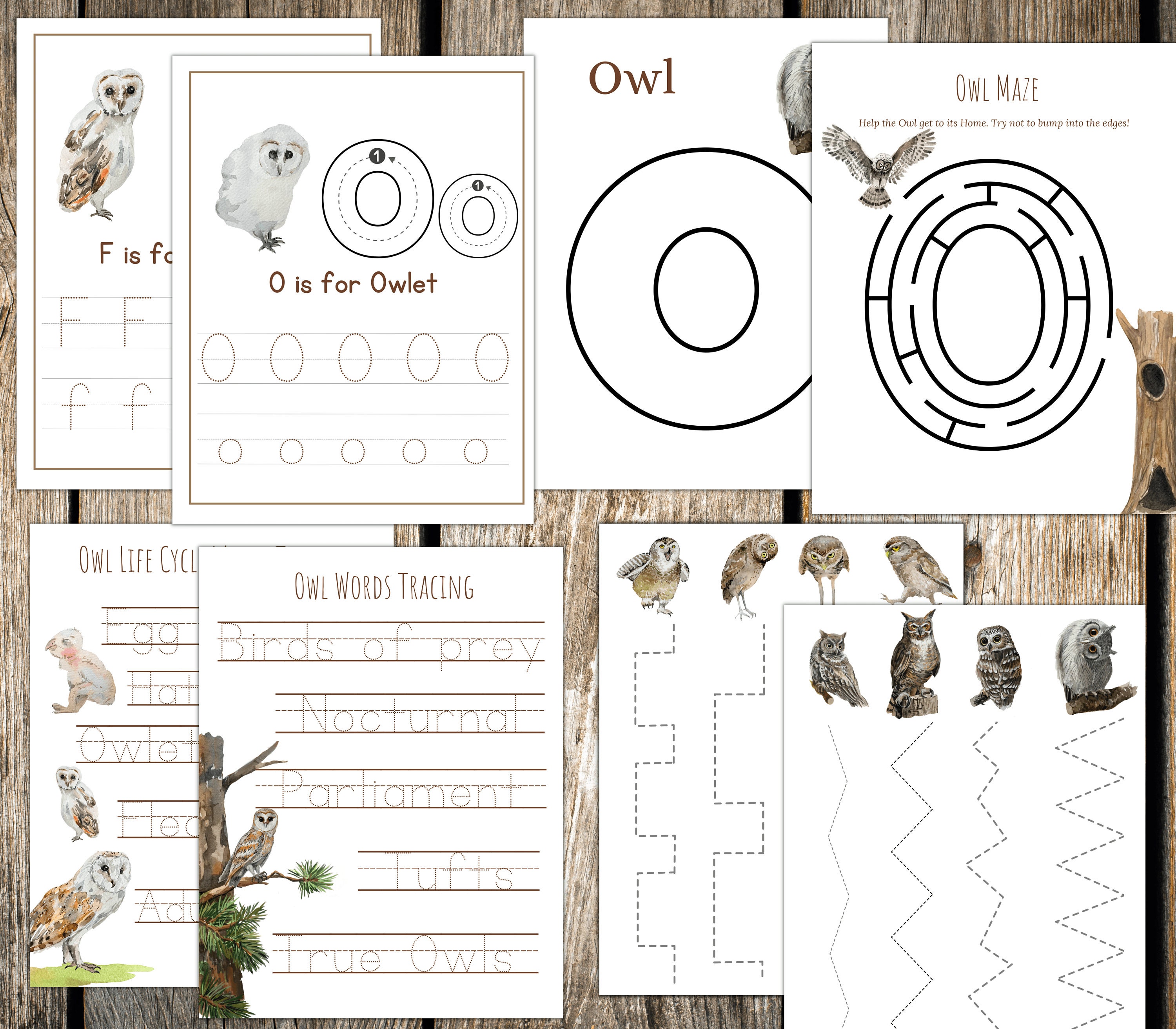 OWLS Unit Study Life Cycle Anatomy Nature Study Science - Etsy Canada