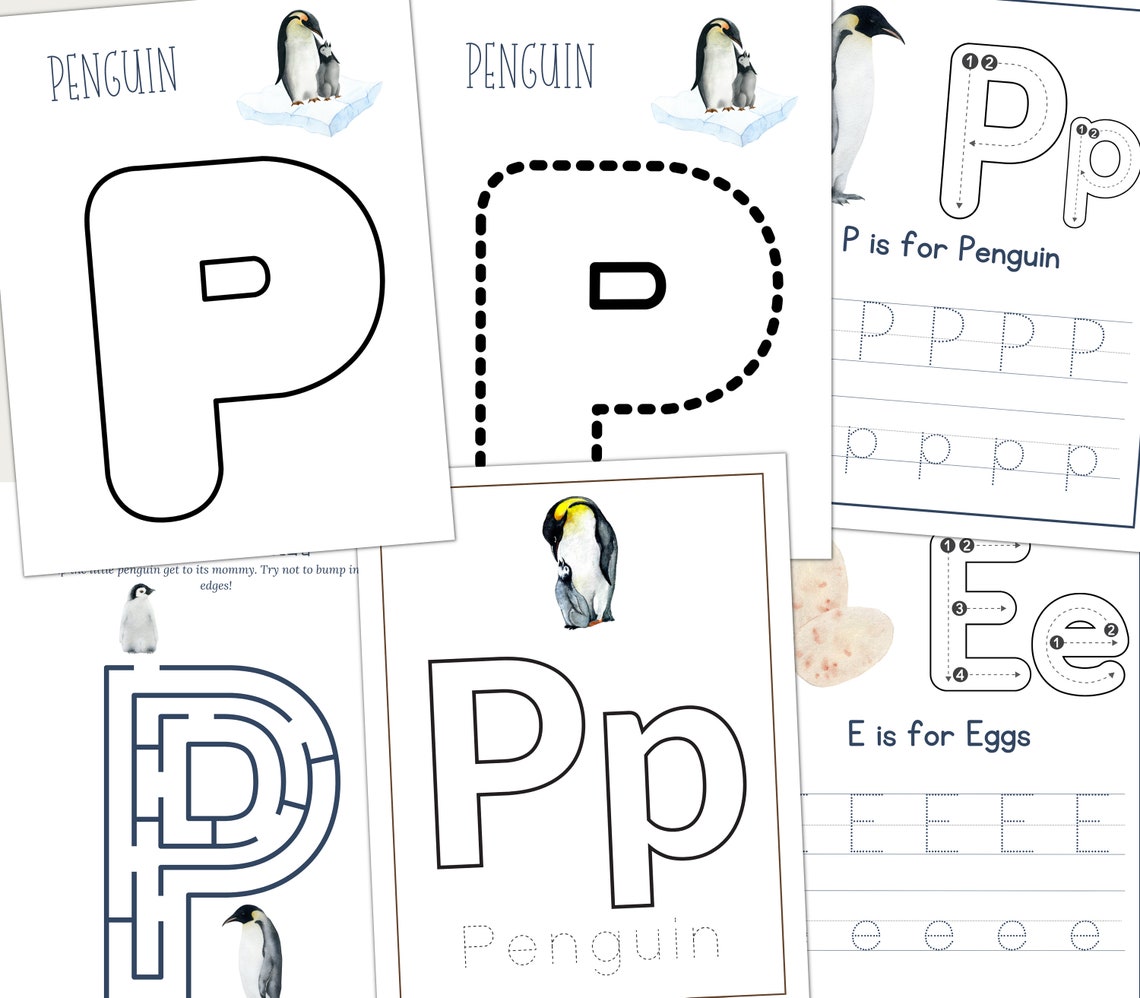 PENGUINS Unit Study Life Cycle Anatomy Nature Study - Etsy